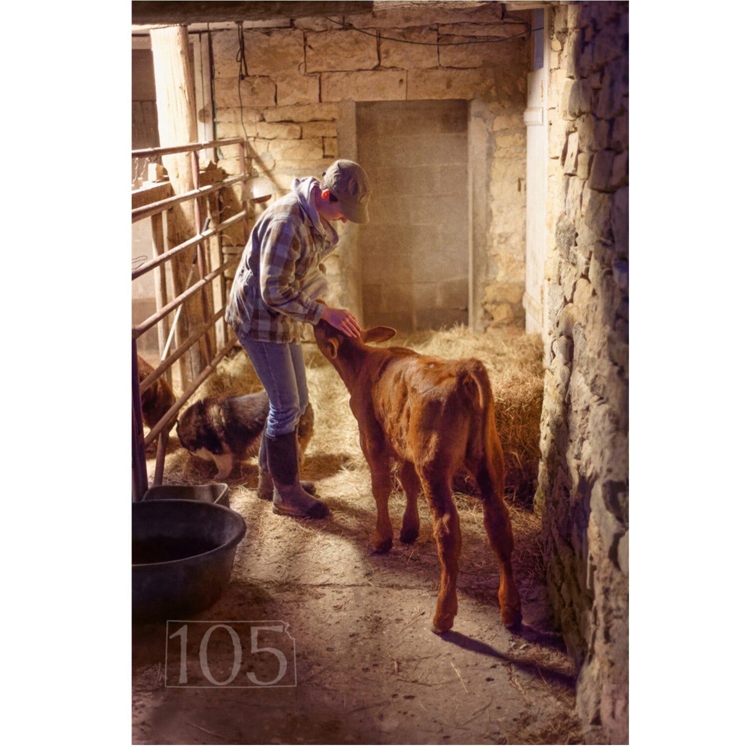 105 Meadowlark Reader | Meadowlark Press, LLC 105 Meadowlark Reader | Meadowlark Press, LLC